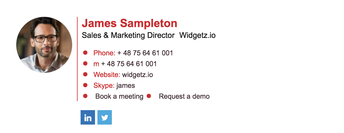 7 Best Professional Email Signature Examples Freshsales Blogs